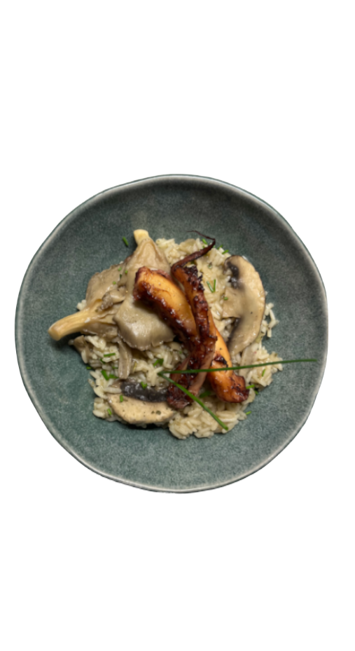 XEMUR | Criamos momentos felizes à sua mesa